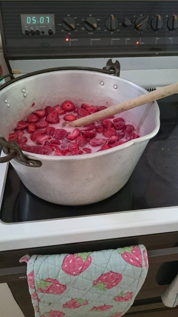 NZより〜いちごジャムをクリスマスプレゼントにする素敵な風習 - いちご大学